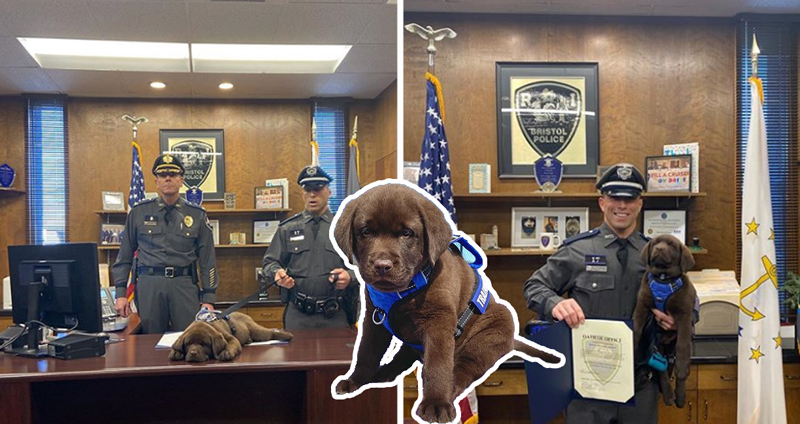 ‘ลูกหมา K9 จอมขี้เกียจ’ ต้องเข้าพิธีปฏิญาณตน แต่มันดันหลับตลอดงานซะงั้น ...